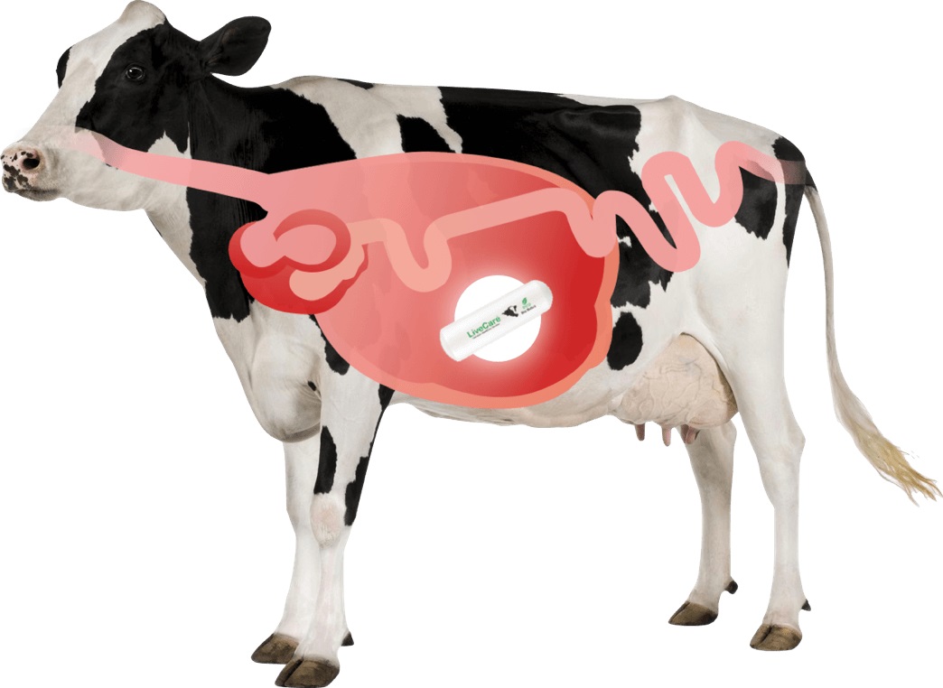 Internet of things (IoT) - nejtil5g.dk